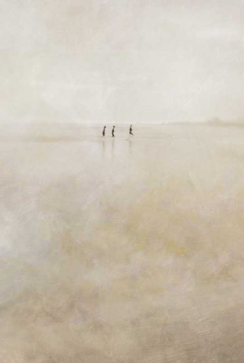 Home - Flypaper Textures