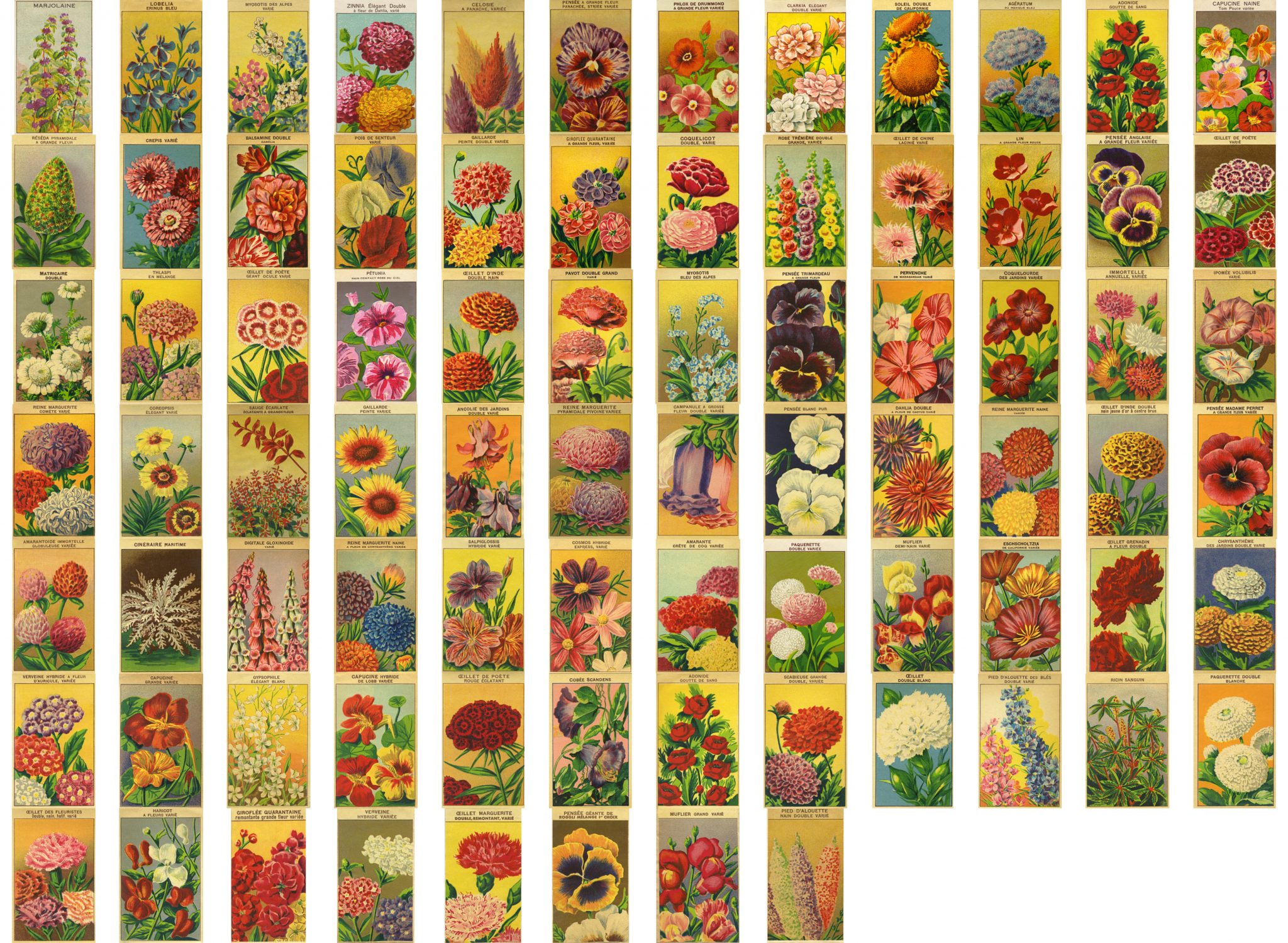 Vintage Seed Packet Labels